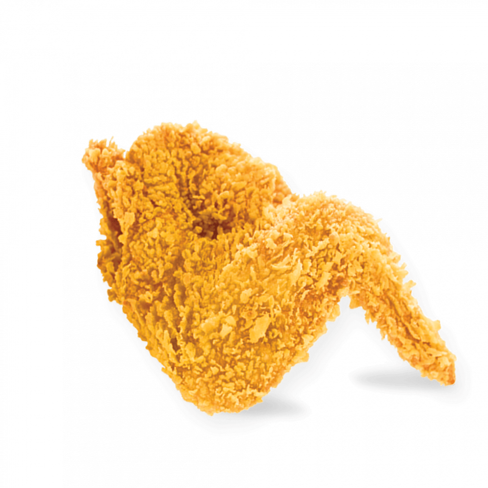 Makanan - HISANA FRIED CHICKEN